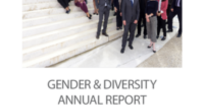 Gender & Diversity Annual Report 2017 - GICHD
