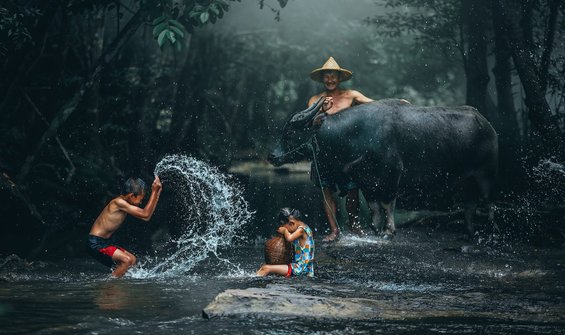 Our Response - GICHD