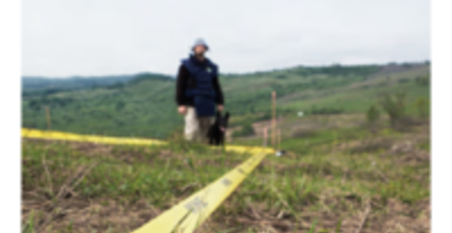 GICHD Annual Report 2015 - GICHD