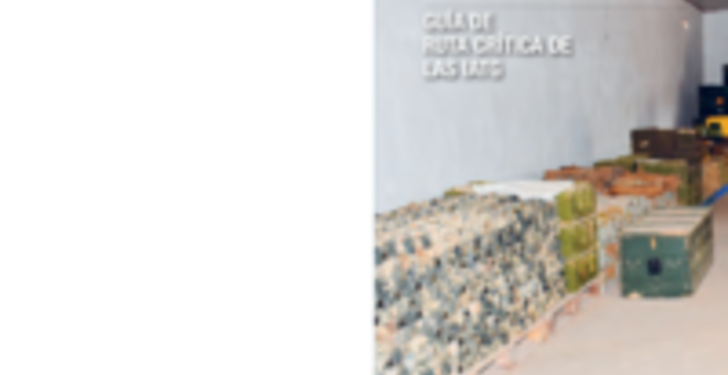 GUÍA DE RUTA CRÍTICA DE LAS IATG - GICHD