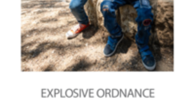 Explosive Ordnance Risk Education - Sector Mapping and Needs Analysis ...